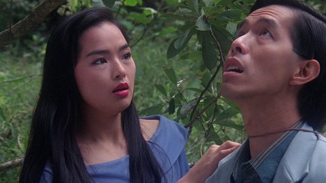 Benny Ching-Ho Law | Galerie - Z filmu | ČSFD.cz