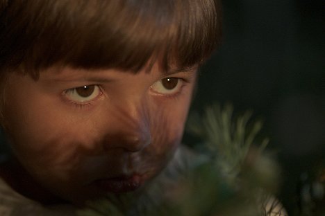 Bonca Hárs | Galerie - Z filmu | ČSFD.cz