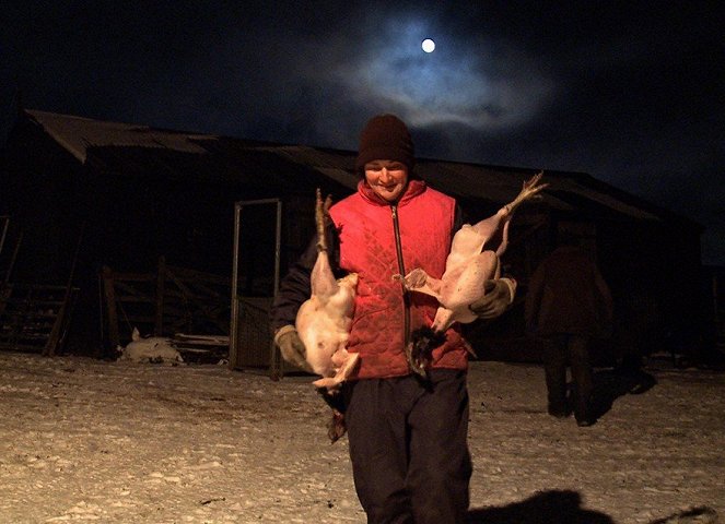 Addicted to Sheep (2015) | ČSFD.cz