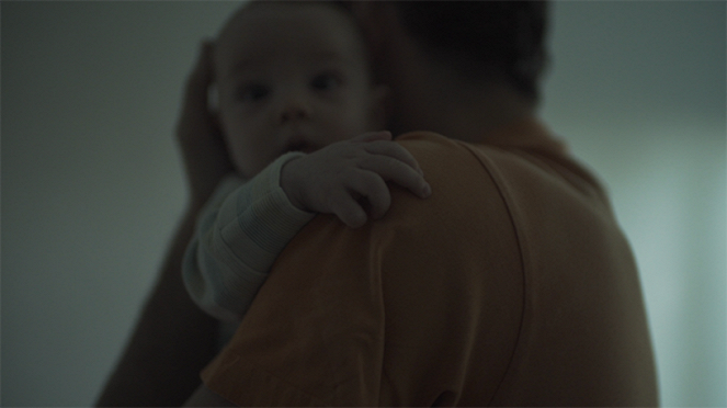 Komodští varani (2019) | ČSFD.cz