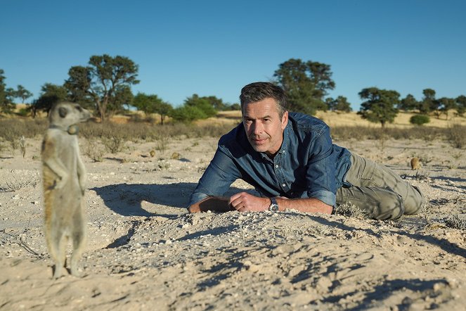 Terra X: Faszination Erde - mit Dirk Steffens: Aus Liebe zum Leben ...