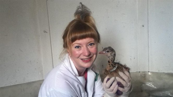 Paula und die wilden Tiere - Raus zum Strauß (E38) (2013) | ČSFD.cz