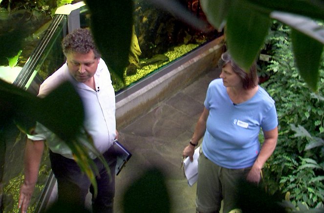 Die Gartenmeister - Aufbruch im Gartenreich (E01) (2020) | ČSFD.cz