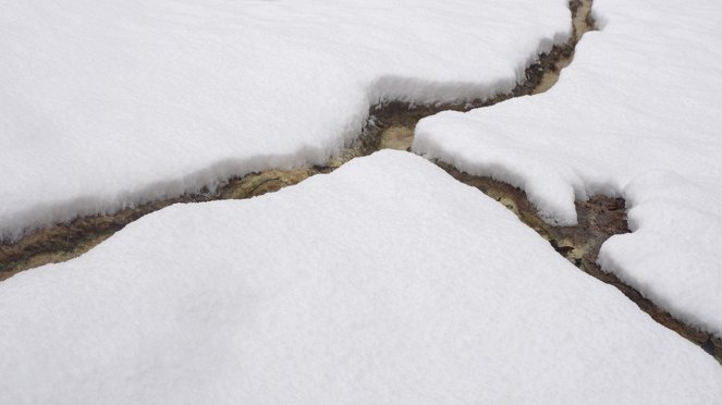 Disturbed Earth (2021) | ČSFD.cz