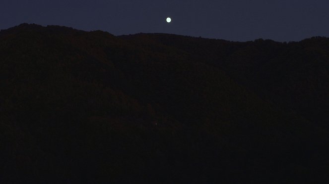 Disturbed Earth (2021) | Galerie - Z filmu | ČSFD.cz