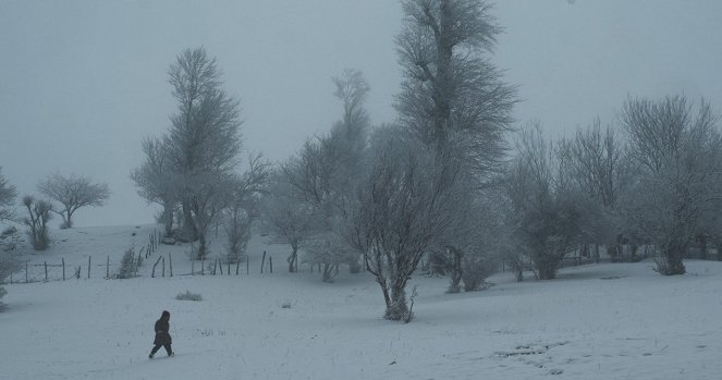 Gavazn (2022) | ČSFD.cz