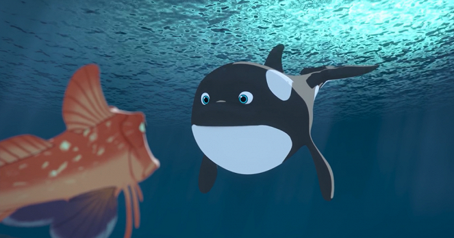 Morgan, la orca valiente (2020) | Galerie - Z filmu | ČSFD.cz