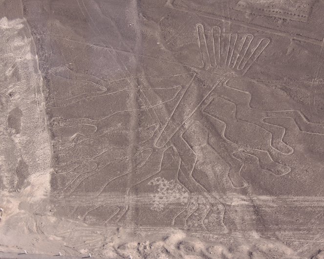Obrazce Nazca (2018) | Galerie - Z filmu | ČSFD.cz