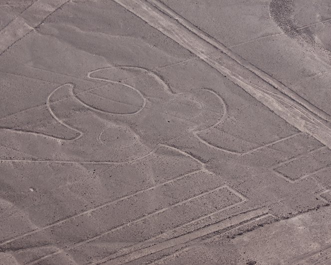 Obrazce Nazca (2018) | Galerie - Z filmu | ČSFD.cz