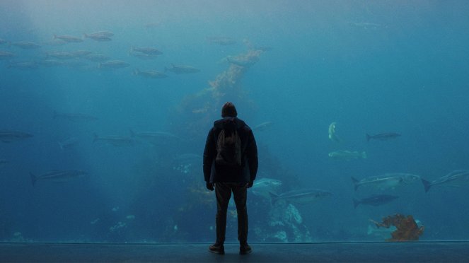 Et stille hav (2021) | Galerie - Z filmu | ČSFD.cz