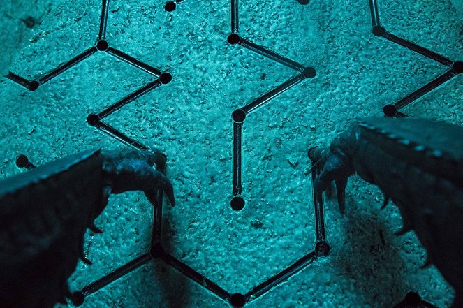 Il mostro della cripta (2021) | ČSFD.cz