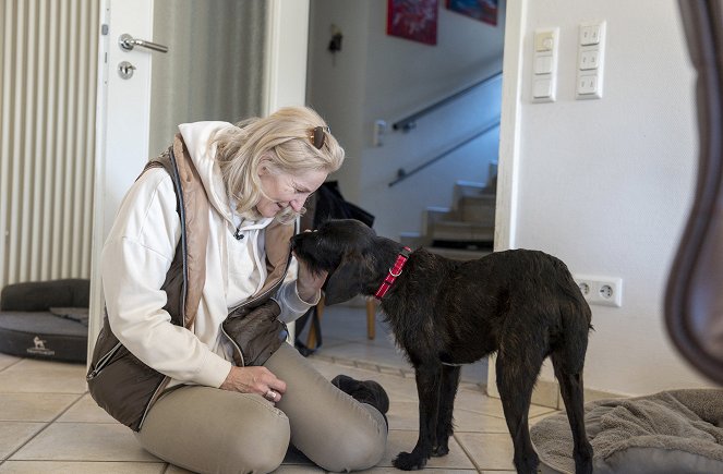 Heimatlose Hunde - Rette mich wer kann (2023) | Galerie - Z pořadu ...