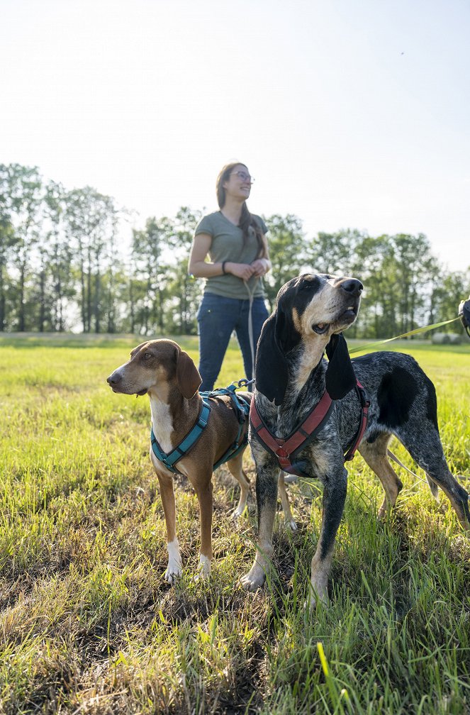 Heimatlose Hunde - Rette mich wer kann (2023) | Galerie - Z pořadu ...
