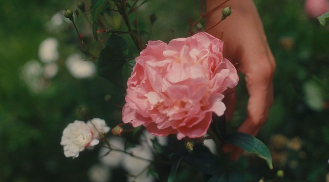 Glythe (2023) | Galerie - Z filmu | ČSFD.cz