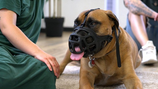 Der Knochenknacker - Tierisch verrenkt (2023) | Galerie - Z pořadu | ČSFD.cz