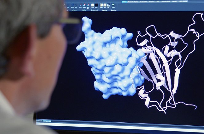Nanoprotilátky – léčivá síla velbloudů (2023) | Galerie - Z filmu | ČSFD.cz