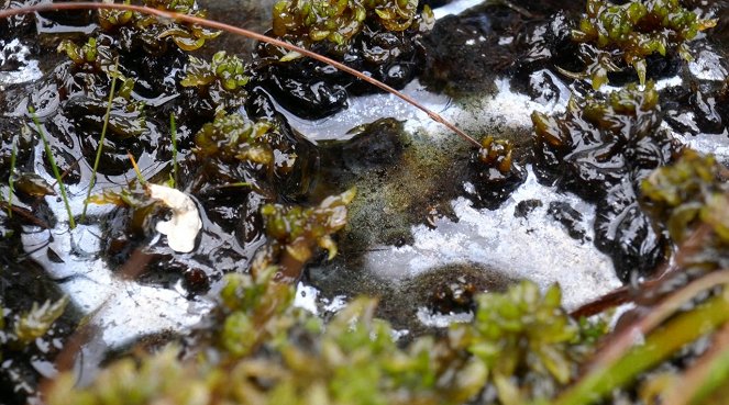 Barrunto (2024) | Galerie - Z filmu | ČSFD.cz