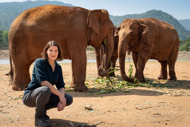 Faszination Erde - mit Hannah Emde: Thailand – Der Wildnis zu nah (2024 ...