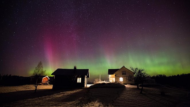 Volání norské divočiny (2024) | Galerie - Z filmu | ČSFD.cz