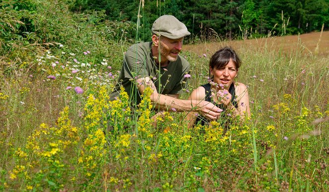 Volání norské divočiny (2024) | Galerie - Z filmu | ČSFD.cz