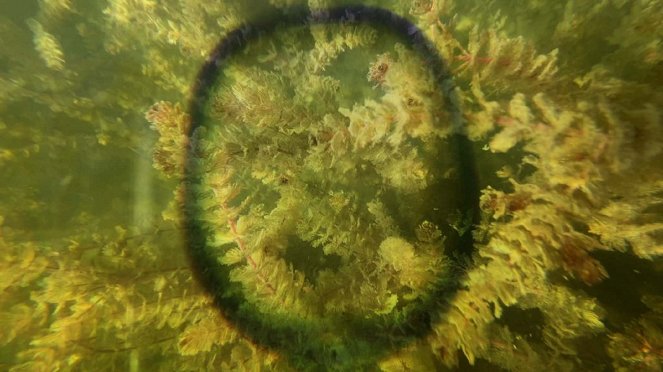 Telo (2023) | ČSFD.cz