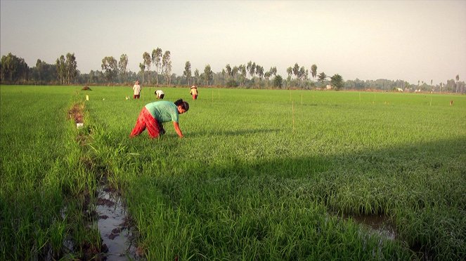 Shihun ji (2012) | Galéria - Z filmu | ČSFD.sk