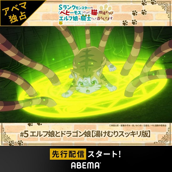 S rank monster no "Behemoth" dakedo, neko to mačigawarete elf musume no ...