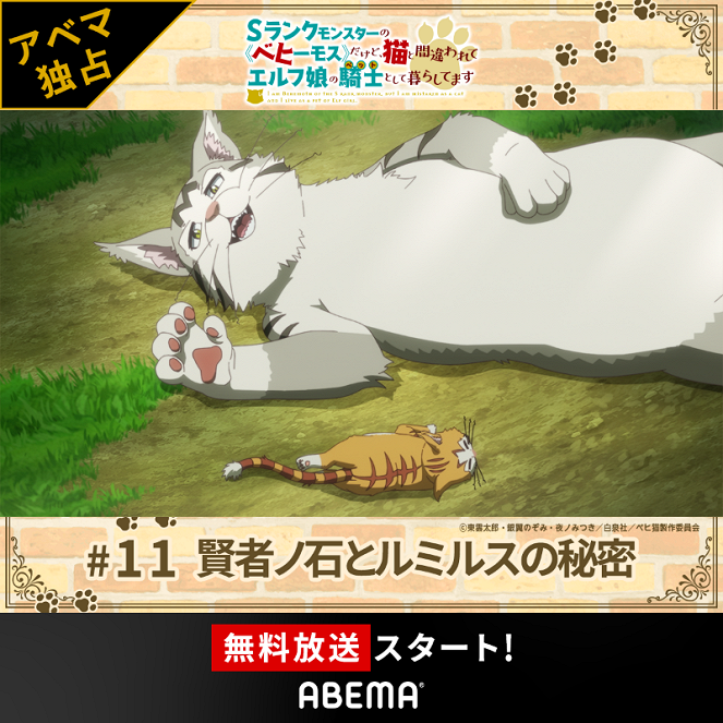 S rank monster no "Behemoth" dakedo, neko to mačigawarete elf musume no ...
