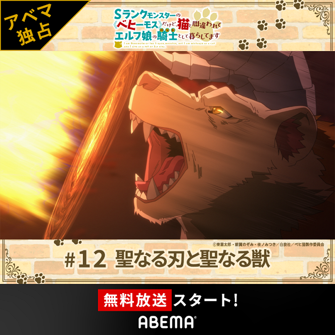 S rank monster no "Behemoth" dakedo, neko to mačigawarete elf musume no ...