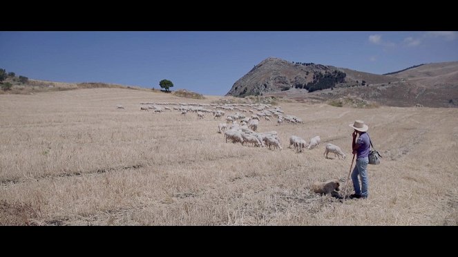 A Driver’s License (2019) | ČSFD.cz