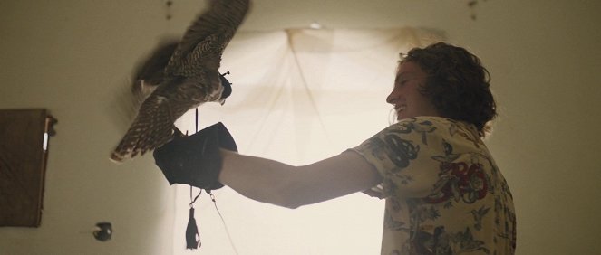 The Falconer (2021) | ČSFD.cz