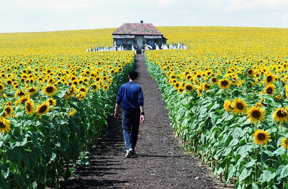 Alles ist erleuchtet (2005) | ČSFD.cz