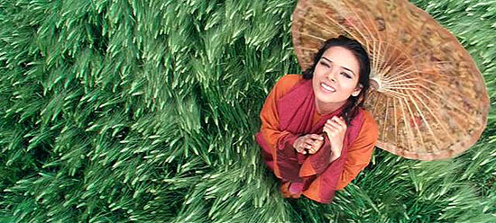 Paap (2003) | ČSFD.cz