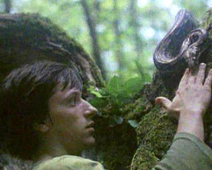 Orientační běh (1982) | ČSFD.sk