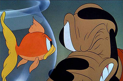 Mickey's Parrot (1938) | ČSFD.cz