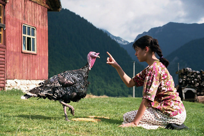 Lost and Found (2005) | Reseñas - De usuarios | ČSFD.cz