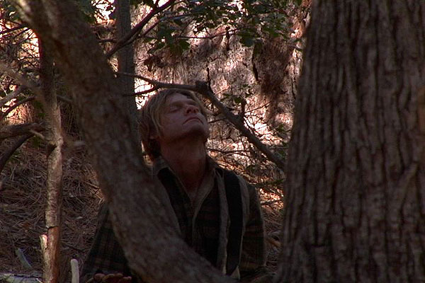 Haunted Forest (2007) | ČSFD.cz