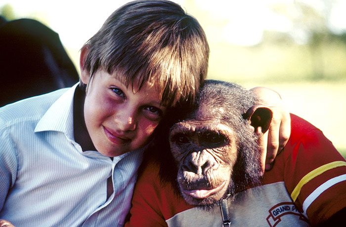 Velká hra (1988) | ČSFD.cz