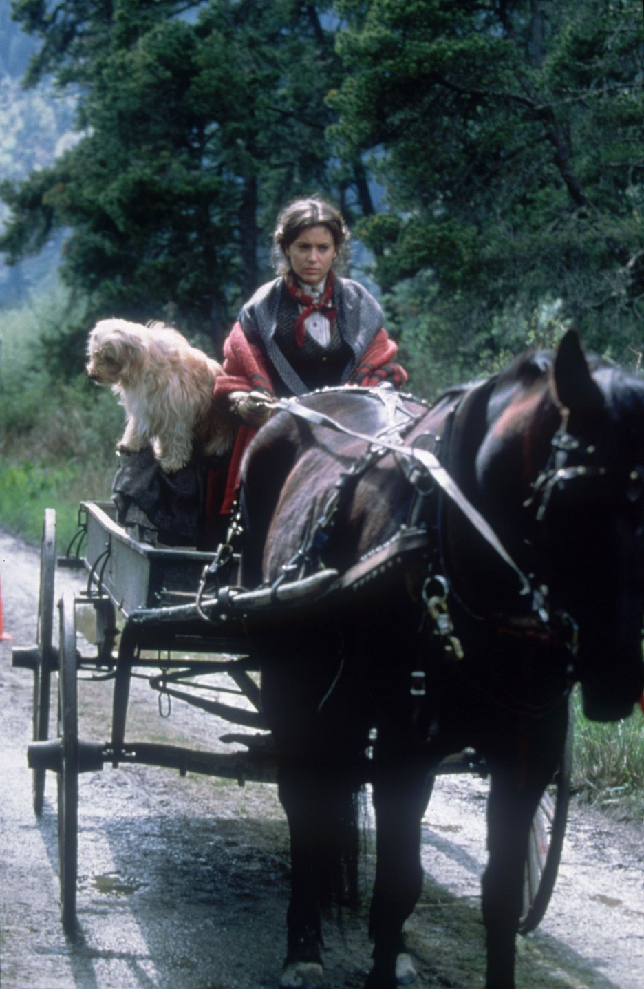 Goldrush: A Real Life Alaskan Adventure (1998) | ČSFD.cz