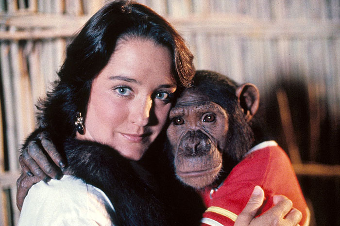 Velká hra (1988) | ČSFD.cz