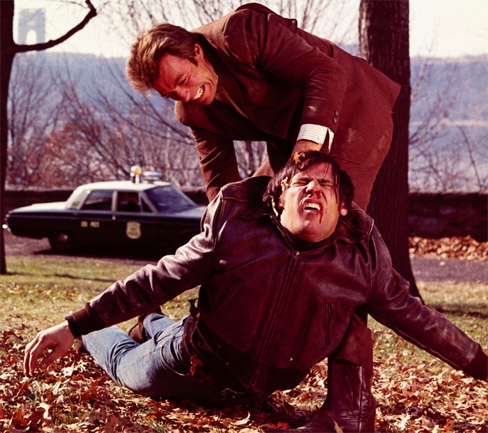 Don Stroud | ČSFD.cz