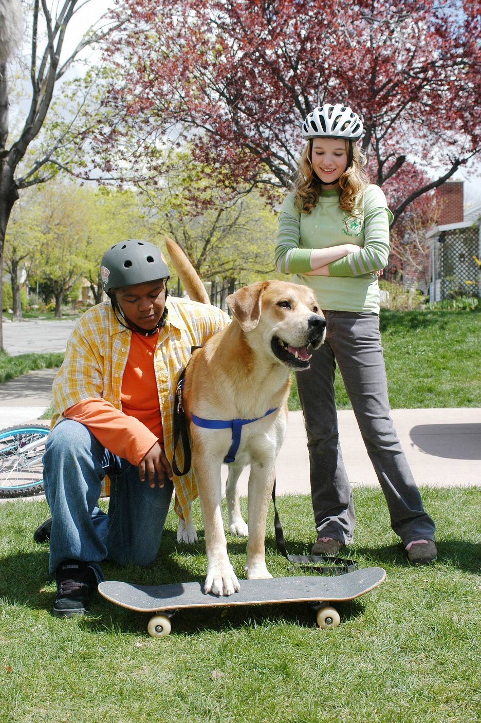 Life Is Ruff (2005) | ČSFD.cz