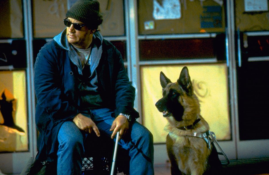 K-9: Soukromý detektiv (2002) | ČSFD.cz