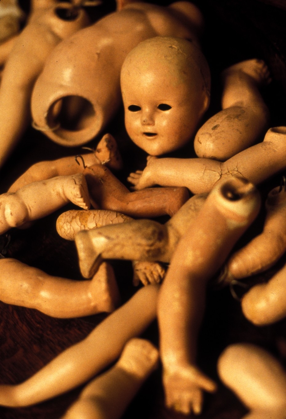 May - Die Schneiderin des Todes (2002) | Filmemacher*innen | ČSFD.cz