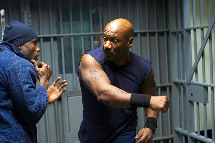 Zviera 2 (2007) | ČSFD.sk