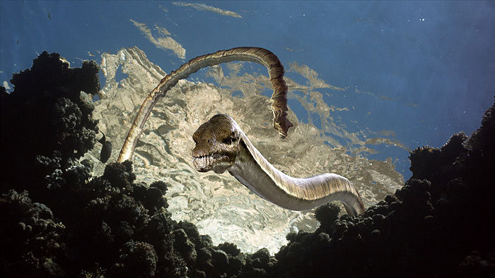 SeaRex 3D: Výprava do časů dinosaurů (2010) | ČSFD.cz