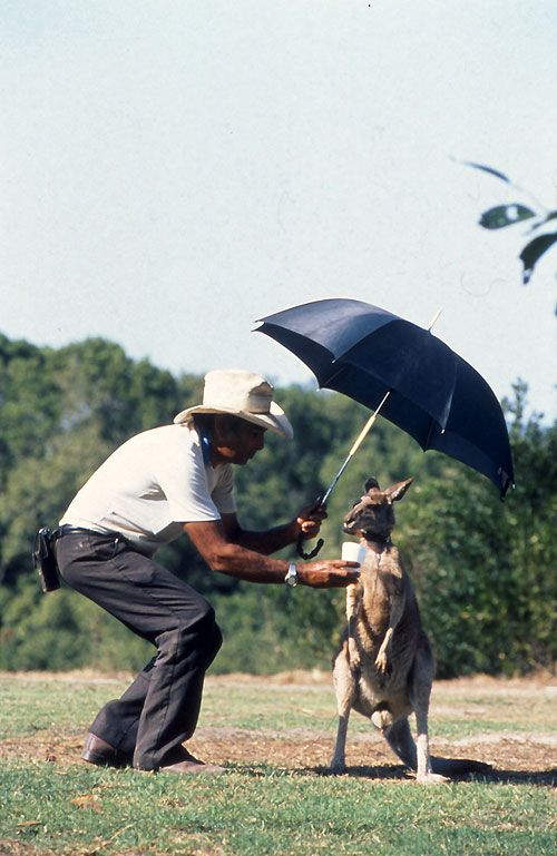 Skippy (1992) | ČSFD.sk