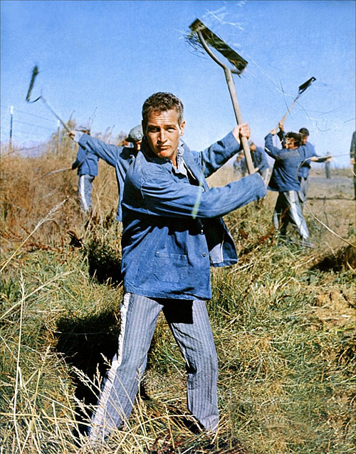 Frajer Luke (1967) | Galerie - Z filmu | ČSFD.cz