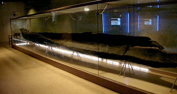 Příběh o lodi (2010) | ČSFD.cz