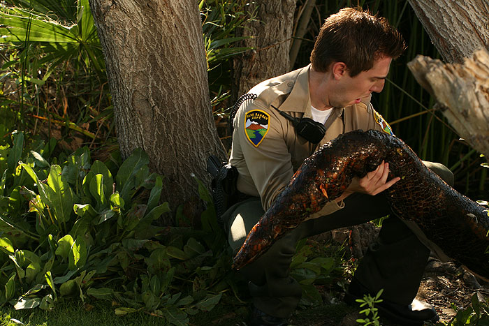 Megakrajta versus Gatoroid (2011) | ČSFD.cz